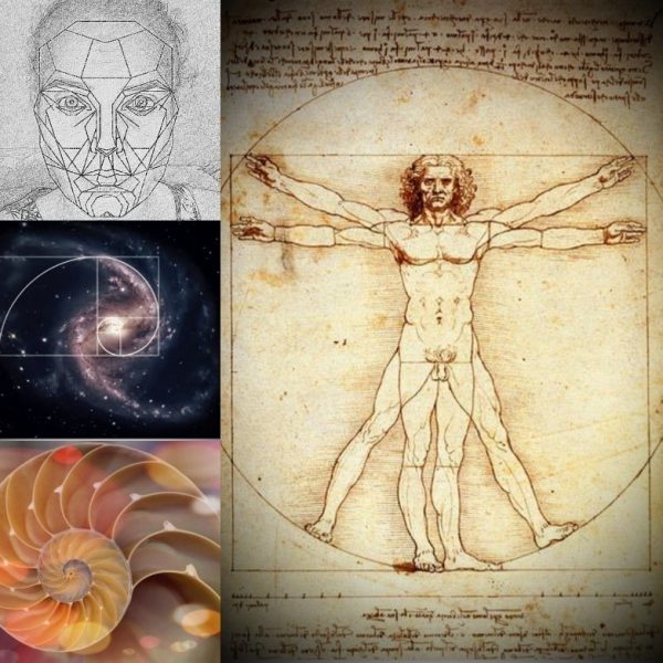 APLICAÇÃO DE TÉCNICAS DE PROPORÇÃO ÁUREA NA MAQUIAGEM